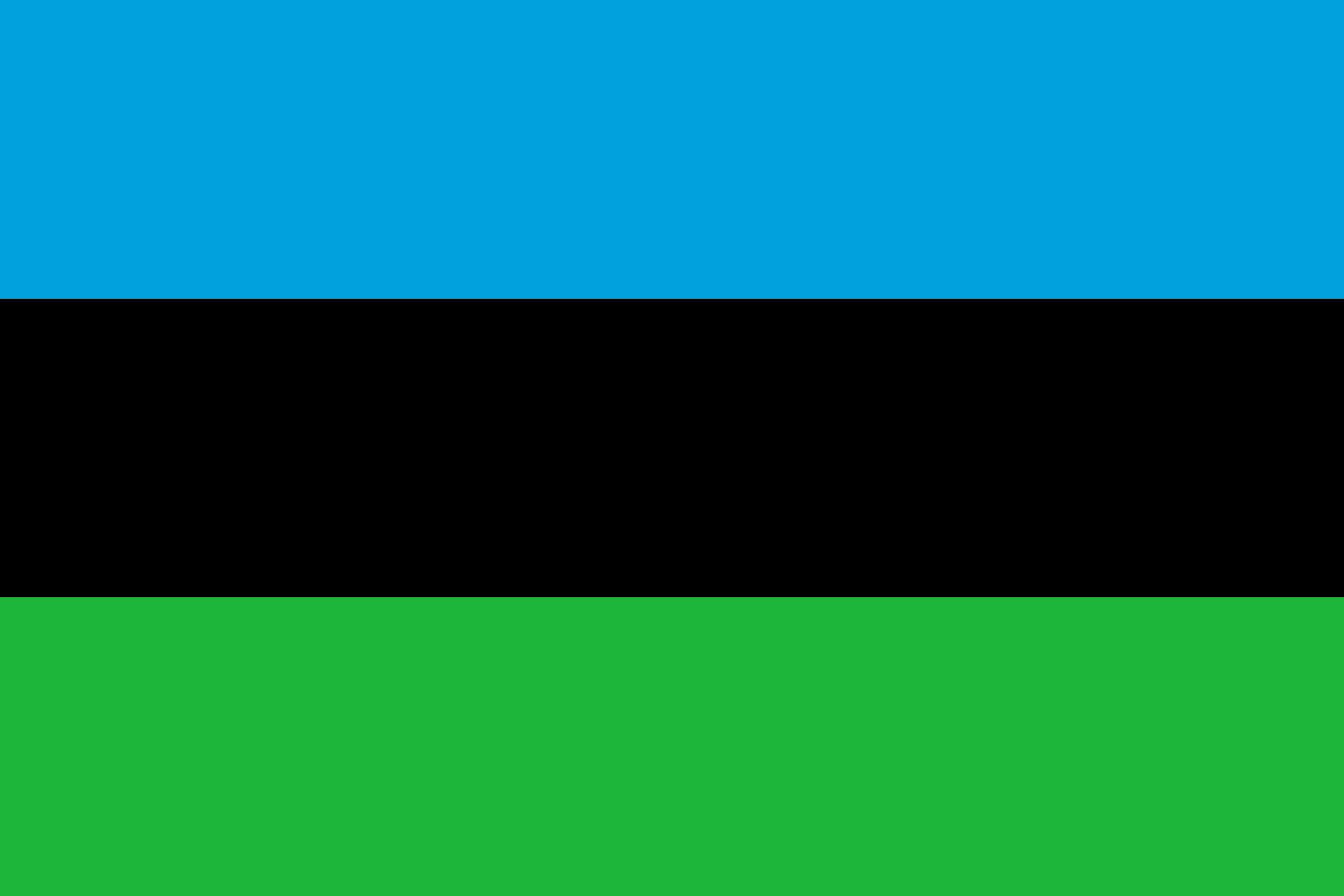 Zanzibar Flag Colours – Flags Web