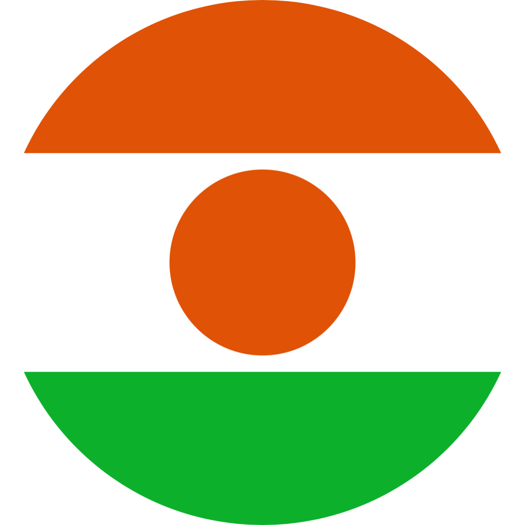 Niger Flag Colours – Flags Web